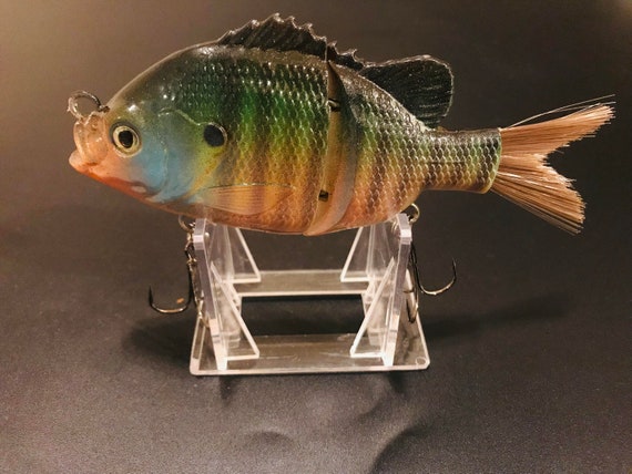 5 Paintbrush Tail Natural Bluegill Fishing Toys & Games Sports ...