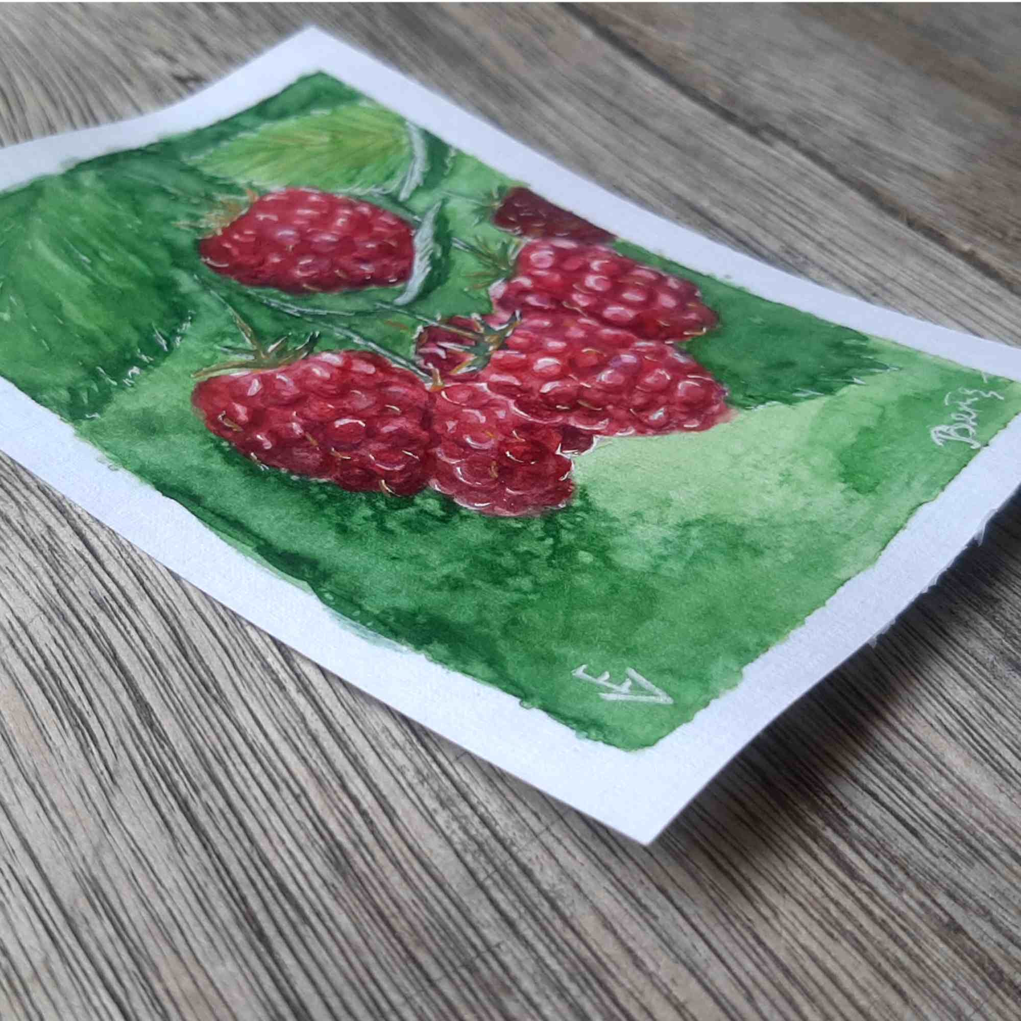 Raspberries Painting Original Watercolour Fruits Artwork Raspberries ...
