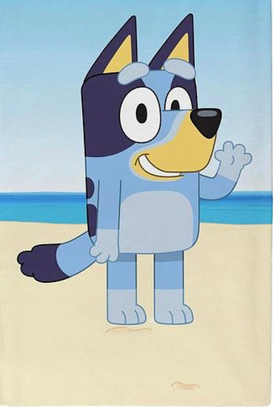 Bluey Highchair Playmat - Etsy