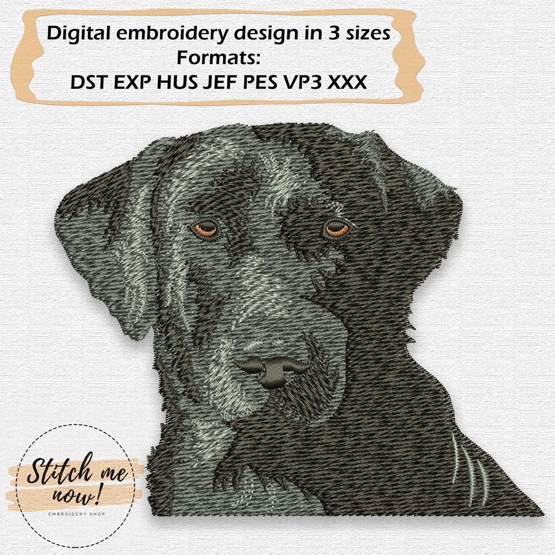 Labrador Dog Machine Embroidery Design in 3 Sizes - Etsy