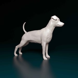 Personalized Miniature Pinscher Dog Statue - Etsy