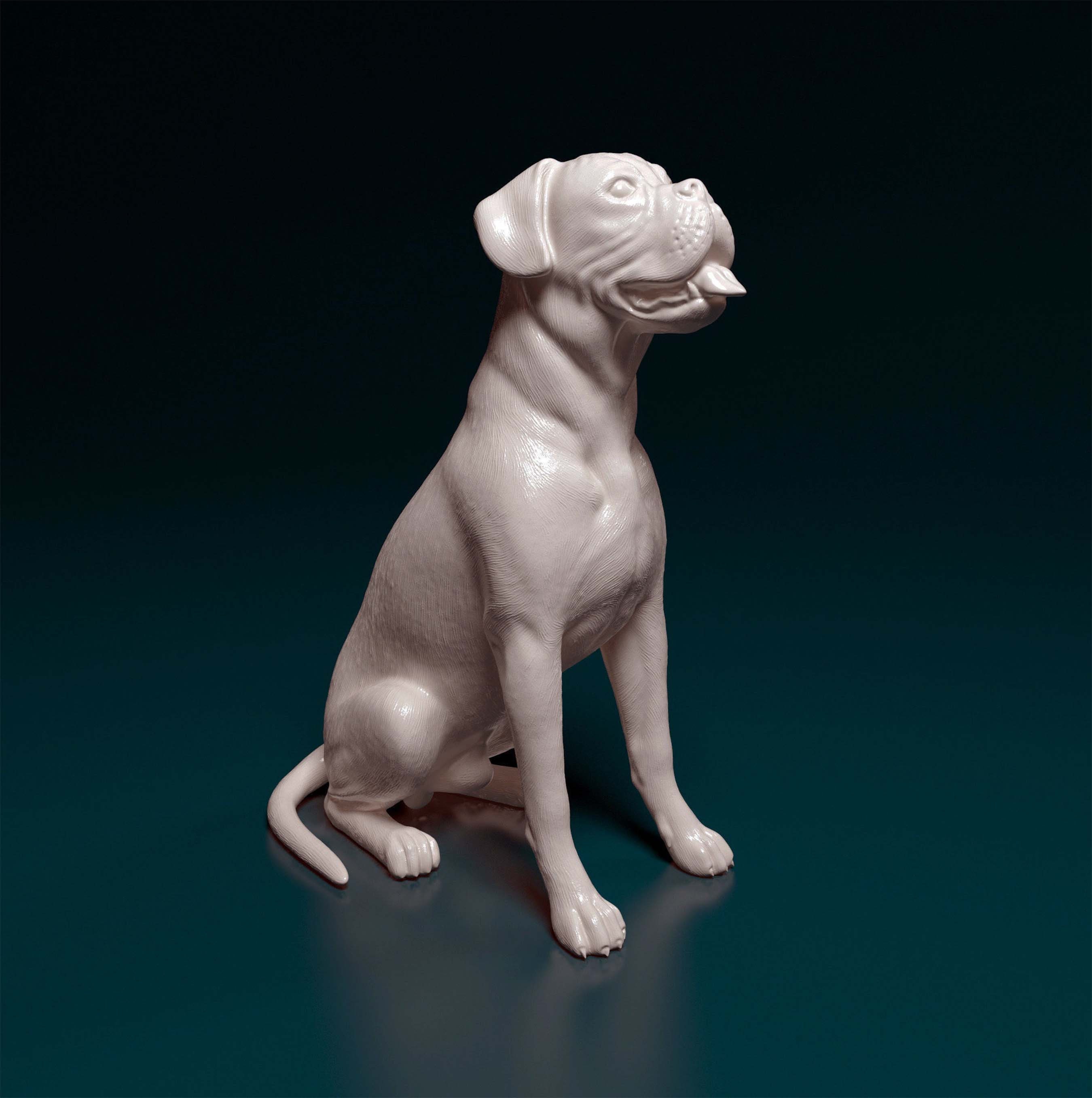 Personalized Sitting Boxer Dog Statue - Etsy
