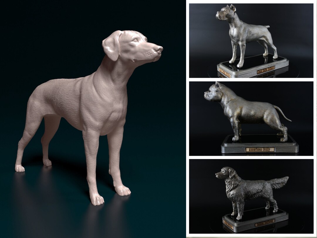 Personalized Rhodesian Ridgeback Dog Statue - Etsy