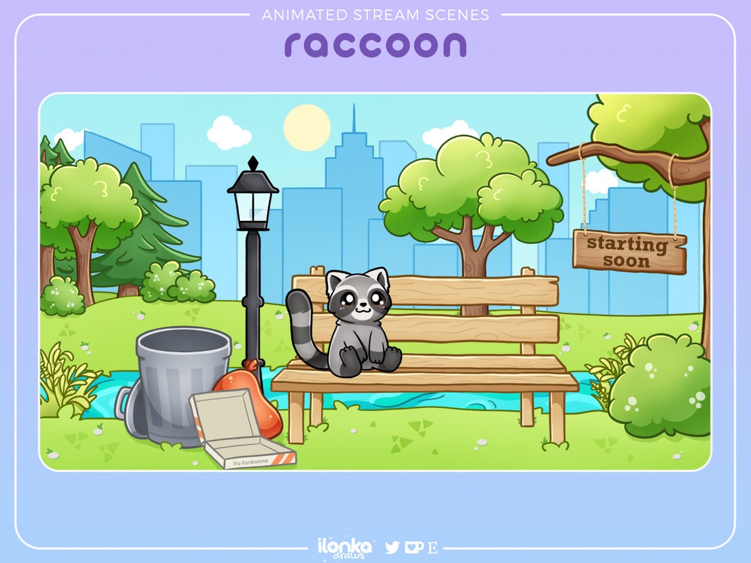 Racccoon | Animated Twitch Scenes - Etsy