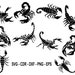 Scorpion Vector, Scorpion Clipart, Scorpion Logo, Scorpion Png ...