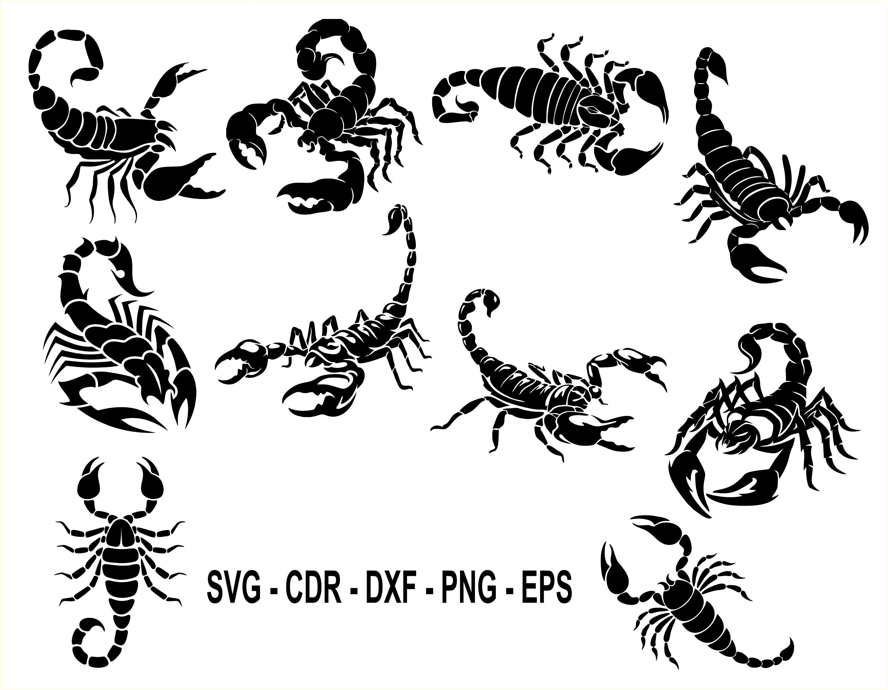 Scorpion Vector, Scorpion Clipart, Scorpion Logo, Scorpion Png ...