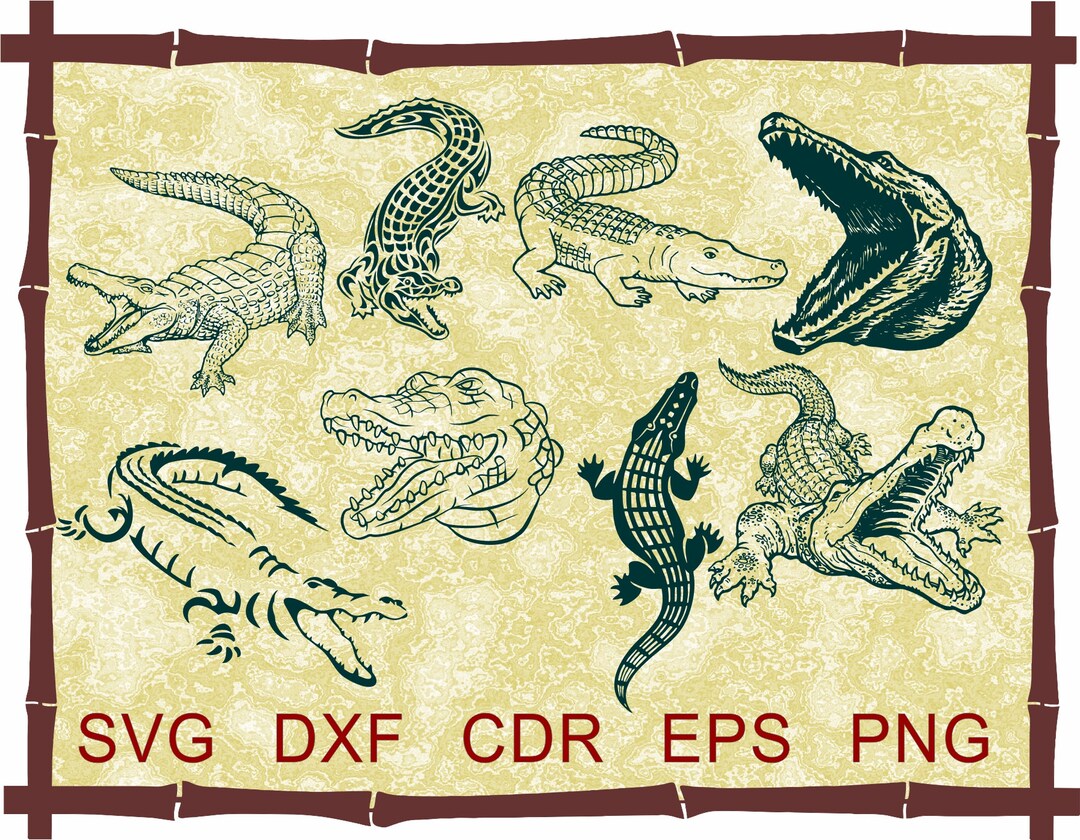 Crocodile Vector, Aligator, Caiman, Crocodile, Reptile, Croco, Croco ...