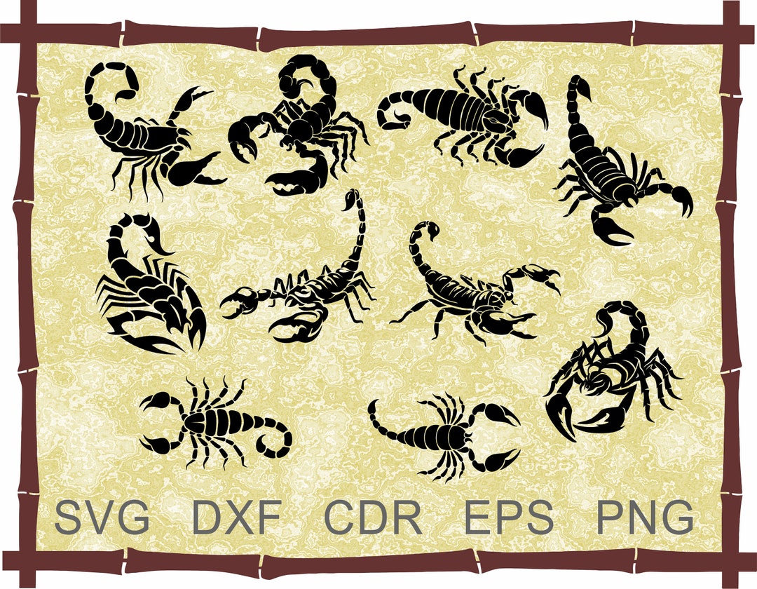 Scorpion Vector, Scorpion Clipart, Scorpion Logo, Scorpion Png ...