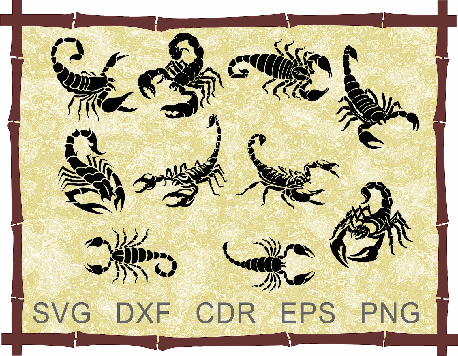 Scorpion Vector, Scorpion Clipart, Scorpion Logo, Scorpion Png ...