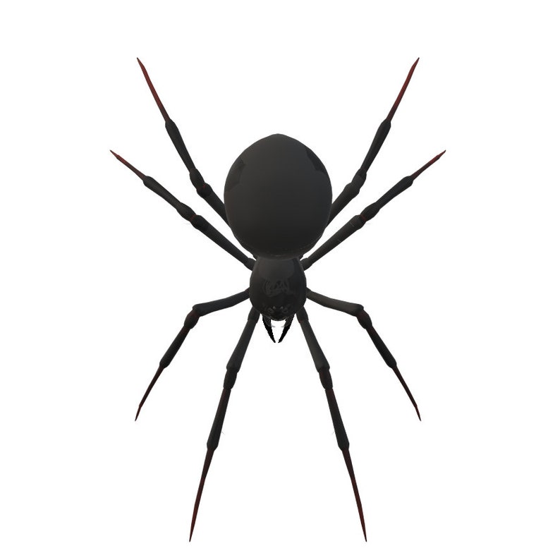 Black Spider SVG DXF PNG Digital Download - Etsy