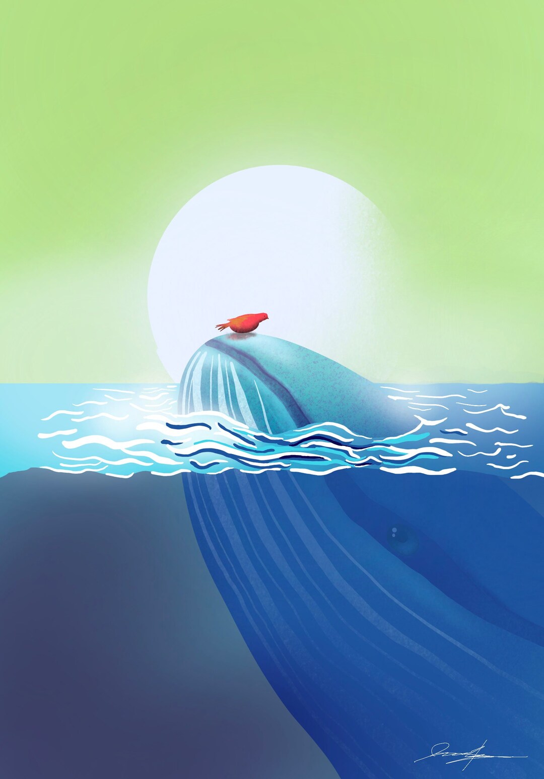 The Whale & Pigeon - Etsy