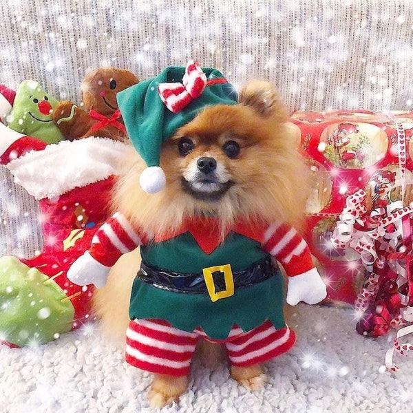 Elf Costume - Etsy