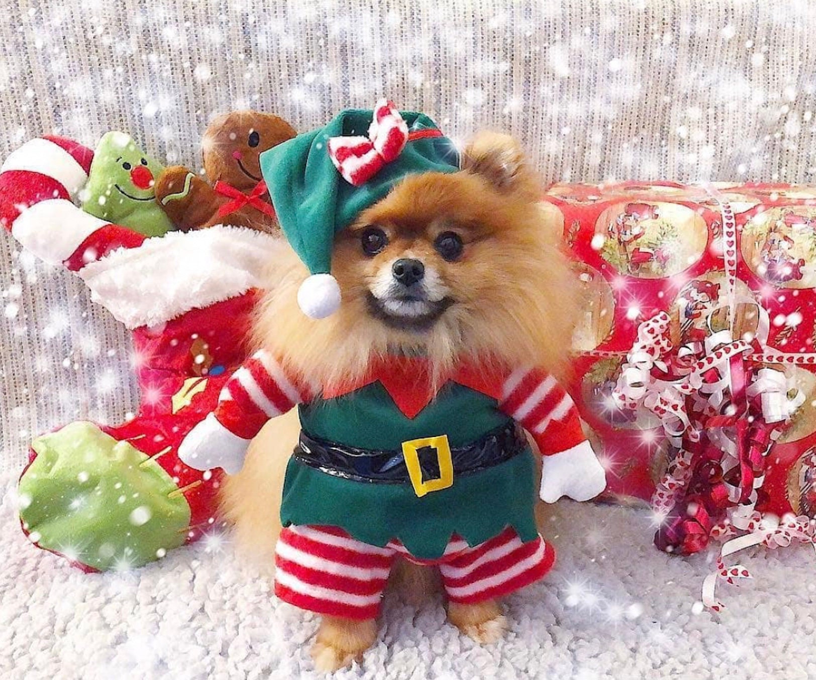 Elf Cat Costume - Etsy UK