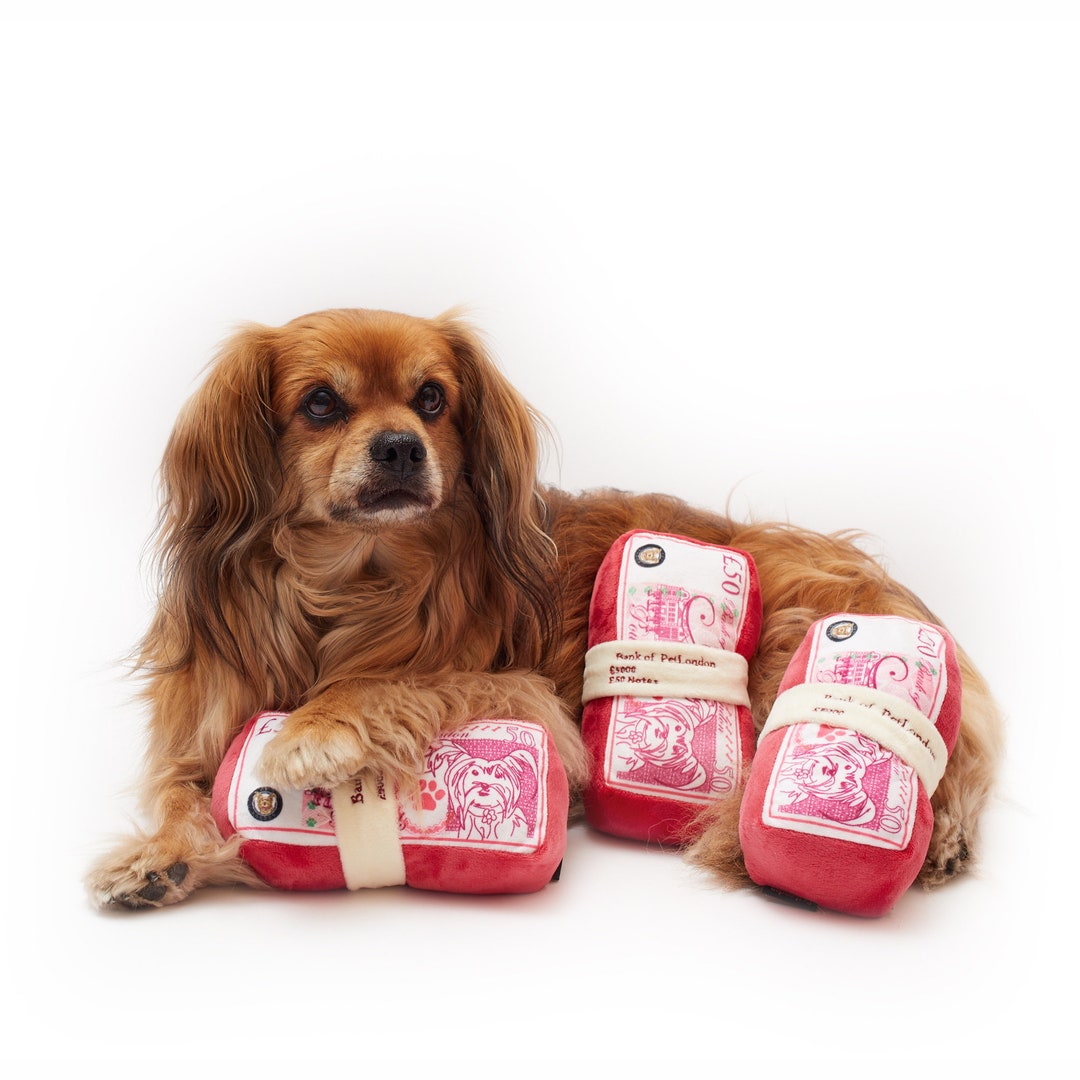 Doggie Dough-plush Dog Toy-stack of Money - Etsy