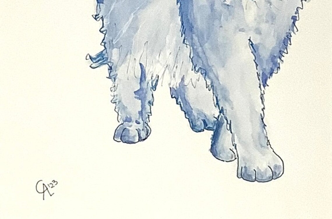 Persian Blue Cat, Cool Cat, Blue Kitty, Ice Blue Moggy, Aquamarine ...