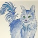 Persian Blue Cat, Cool Cat, Blue Kitty, Ice Blue Moggy, Aquamarine ...