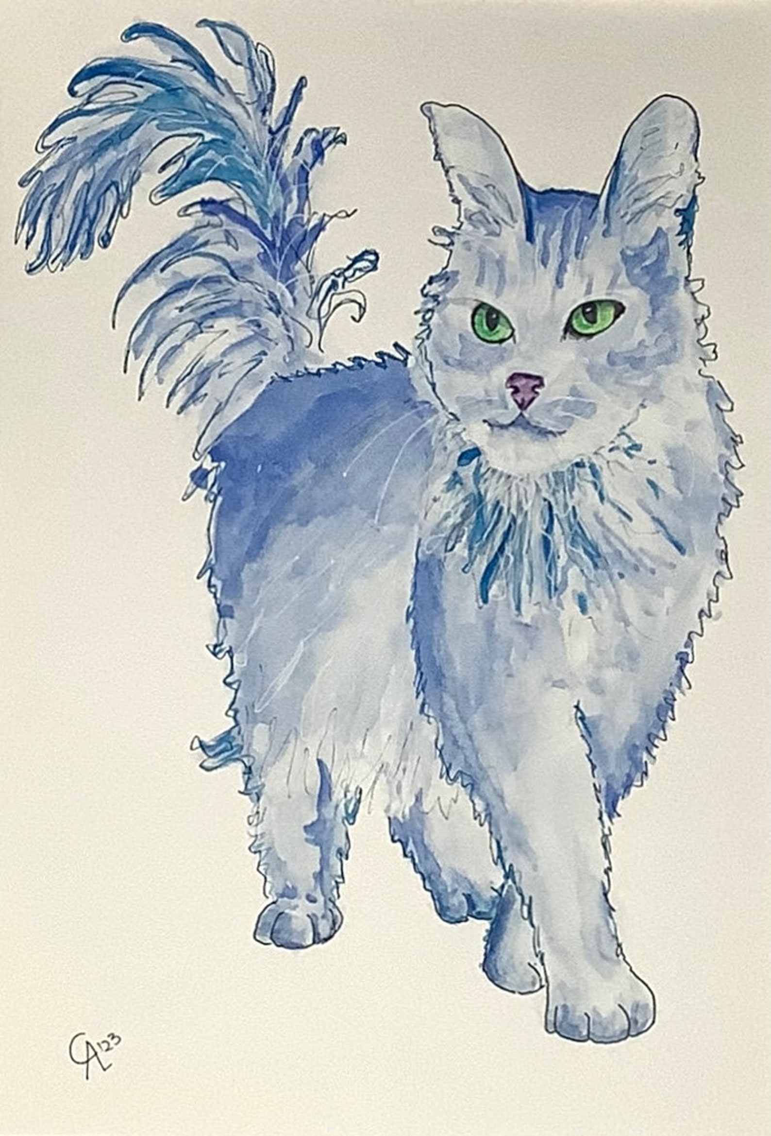 Persian Blue Cat, Cool Cat, Blue Kitty, Ice Blue Moggy, Aquamarine ...