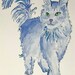 Persian Blue Cat, Cool Cat, Blue Kitty, Ice Blue Moggy, Aquamarine ...