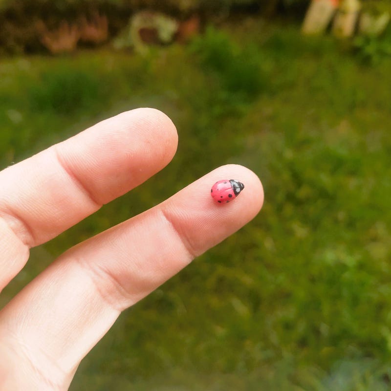 Ladybug Figurine - Etsy