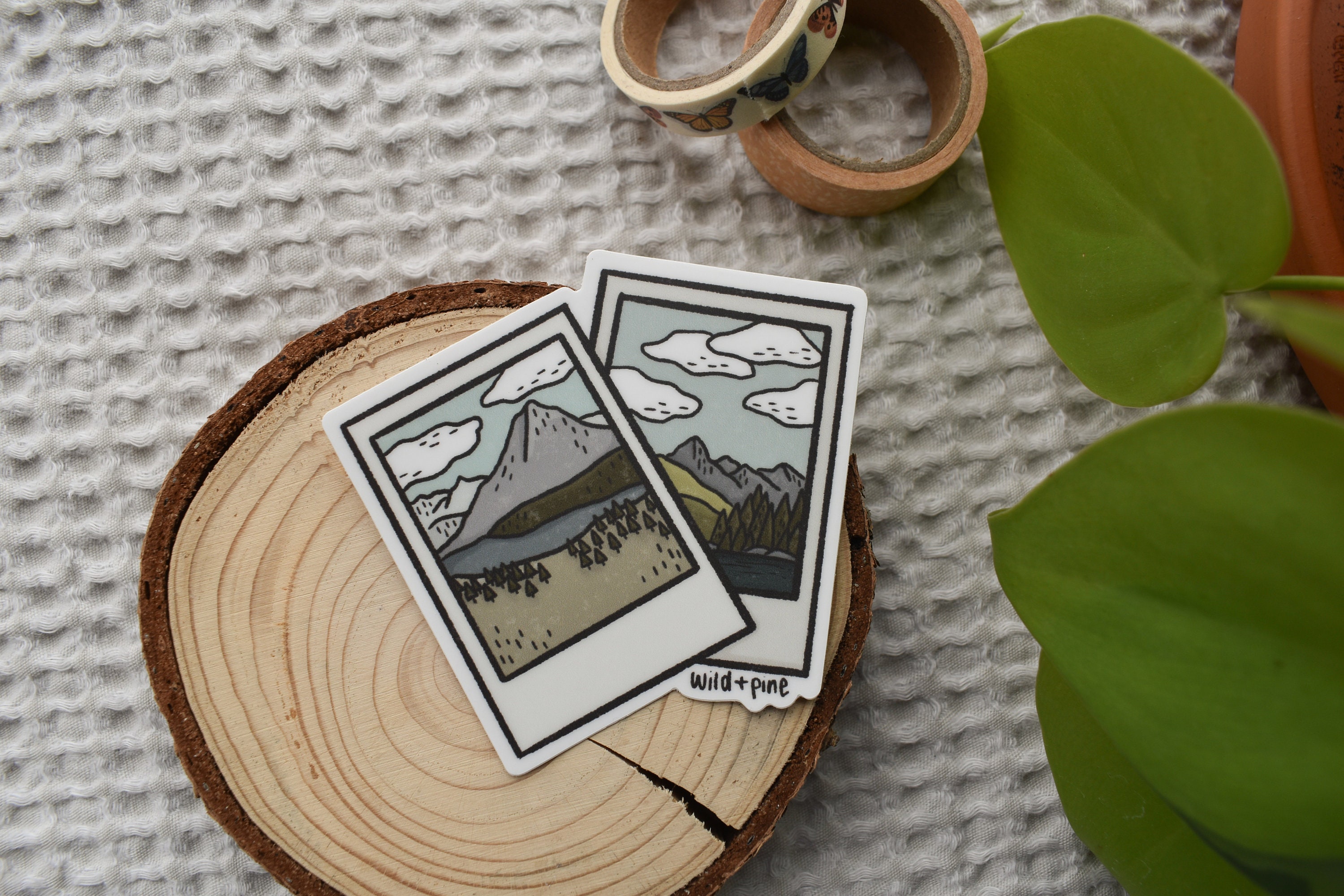 Nature Polaroid Sticker | National Park Hiking Decal for Granola Girls ...
