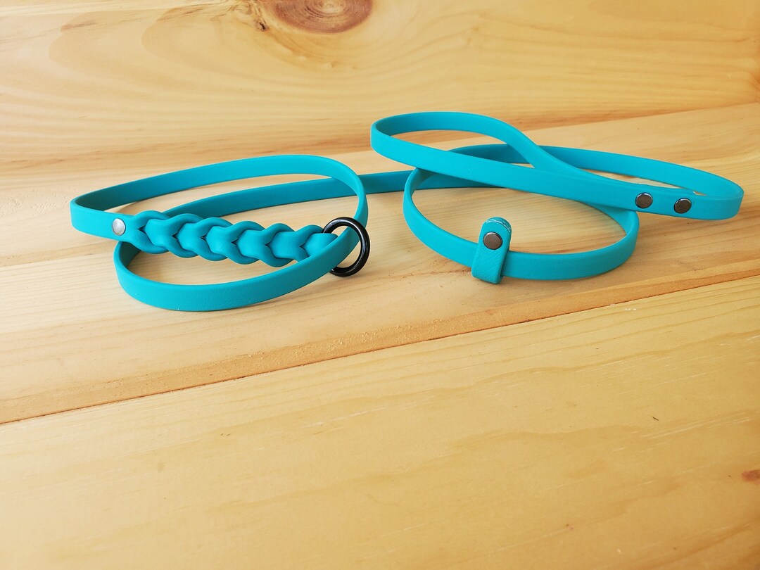 1/2 Wide Custom Braided Biothane Slip Lead Any Length Nickel, Stainless ...