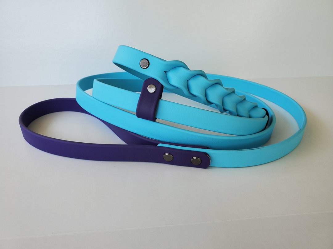 3/4 Wide Custom Braided Biothane Slip Lead Any - Etsy