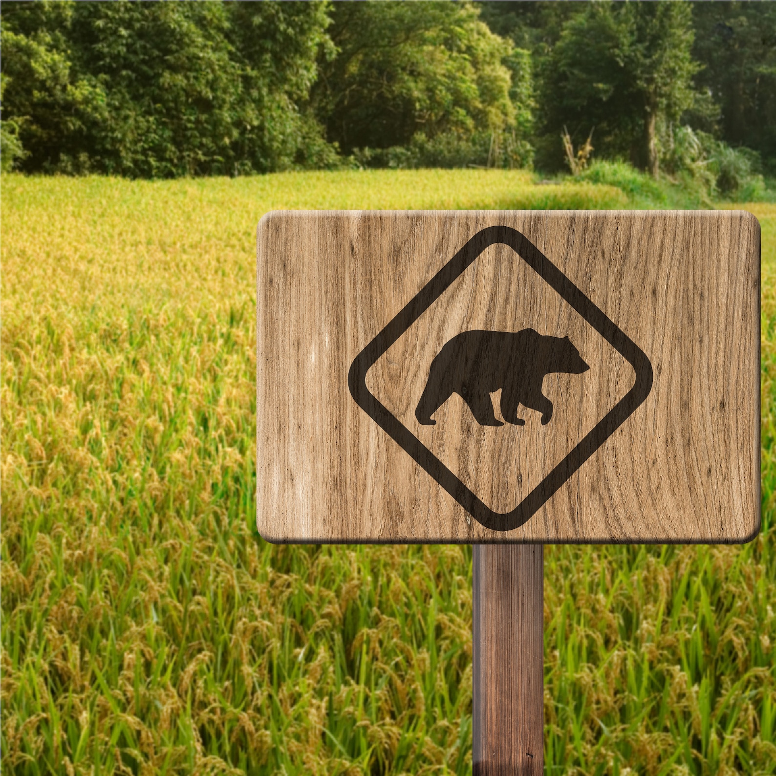 Wildlife Crossing Signs SVG, Wildlife Conservation, Animal Crossing ...
