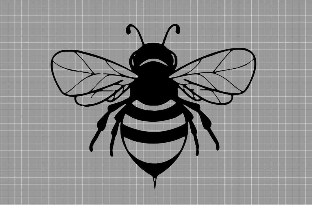 Bee Digital Design Png, Jpg - Etsy