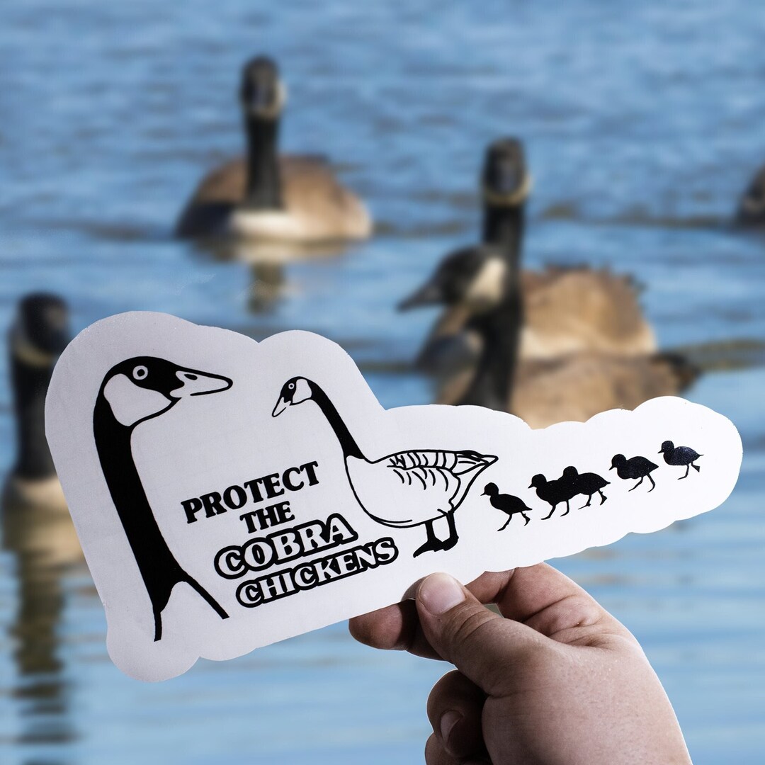 Protect the Cobra Chickens Canada Geese Decal Sticker - Vinyl Graphic ...