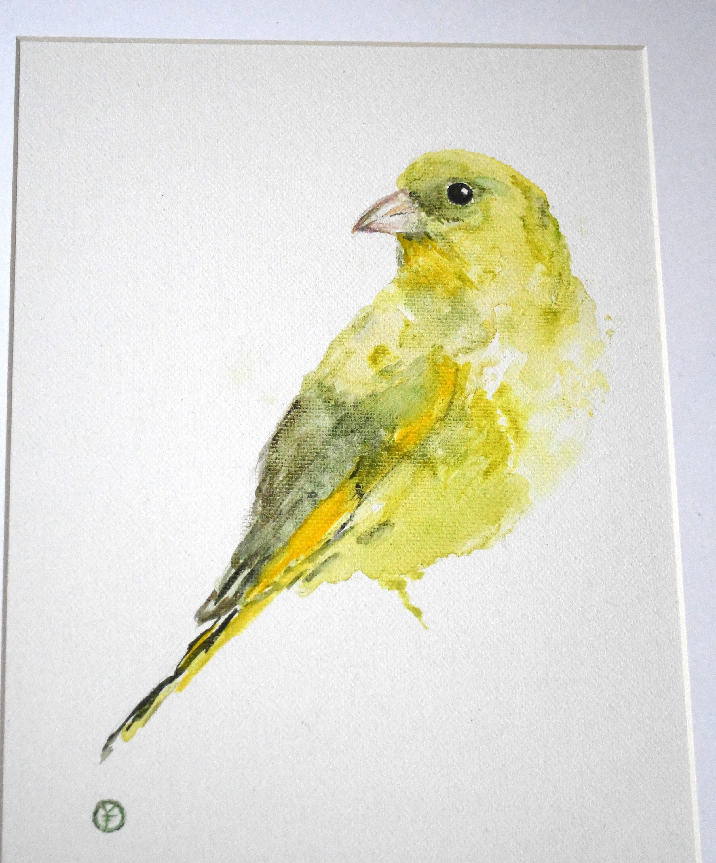 Pastel Drawing & Illustration Greenfinch Original Artwork etna.com.pe
