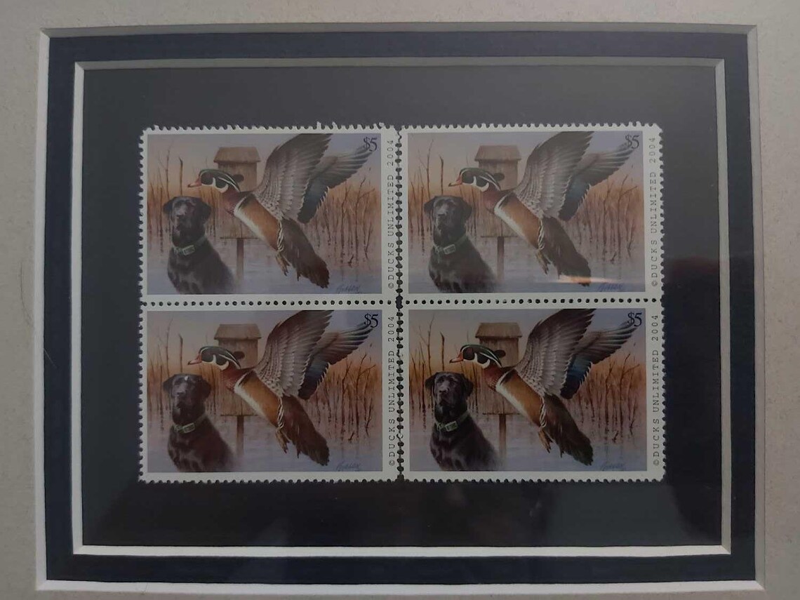 Ducks Unlimited Framed Stamps & Gold Stamp | Etsy