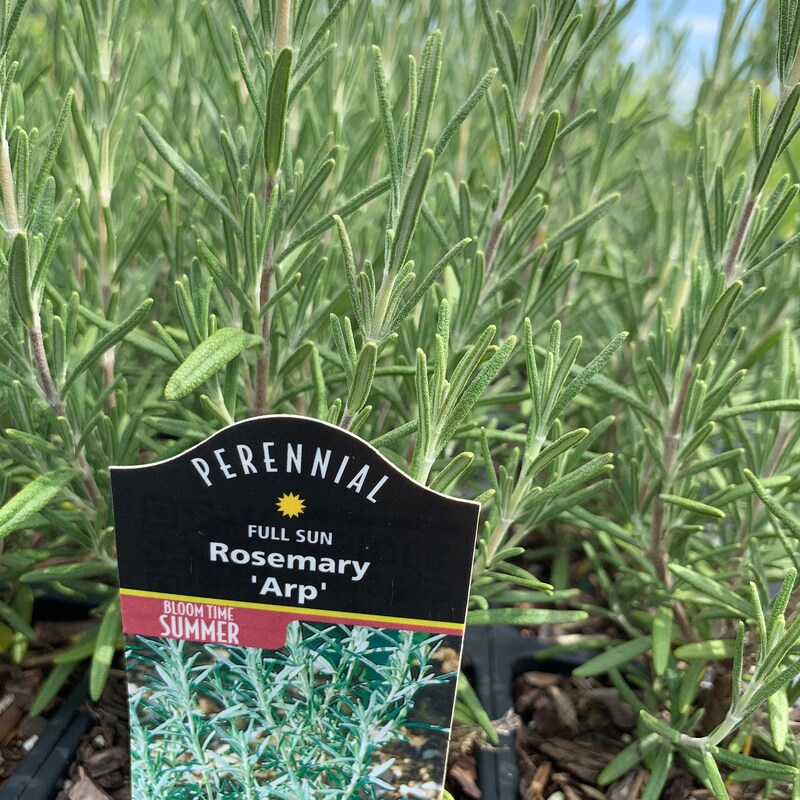 WoodenFishFarms (Ships from: the US) - Etsy