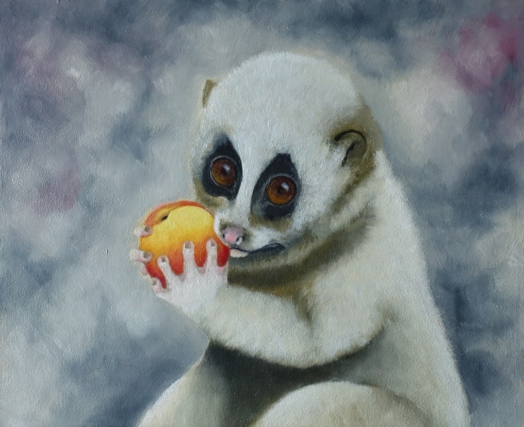 Slow Loris Original Handmade Oil Painting, Cute Animals Small Artwork ...