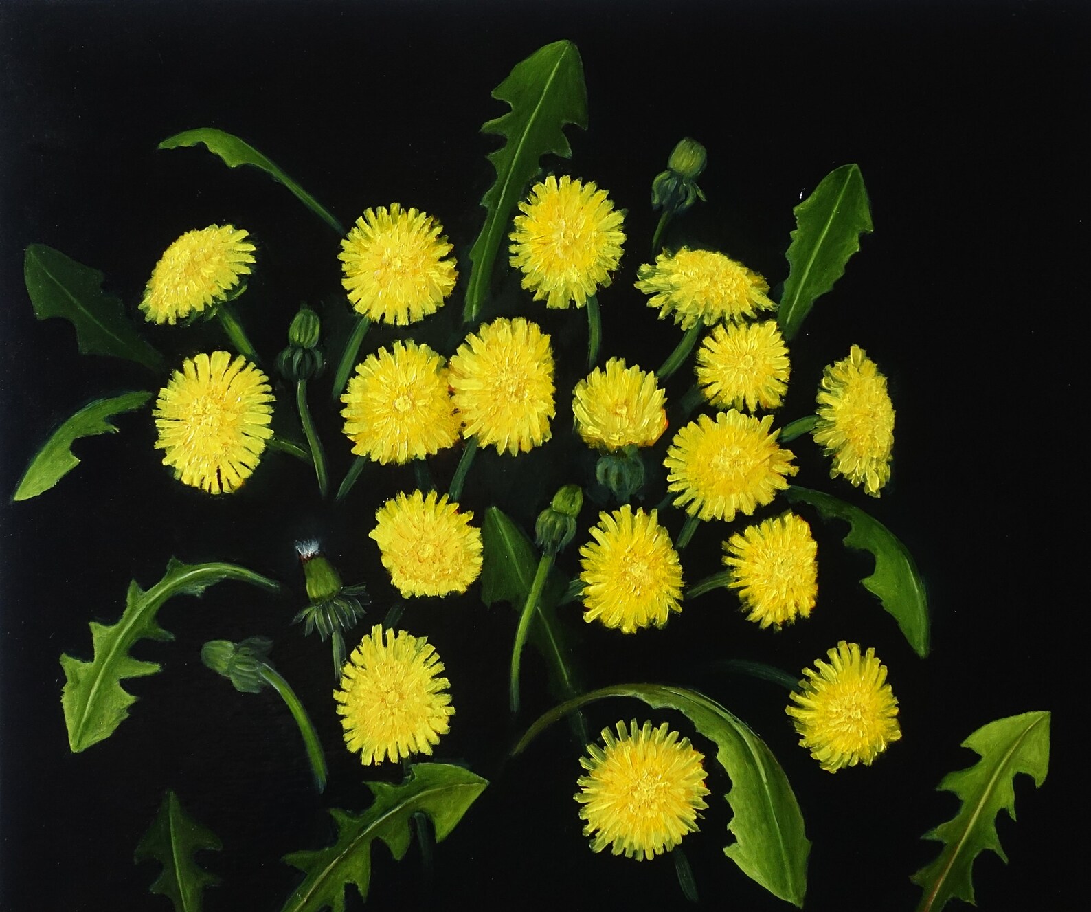 Dandelions Original Oil Painting Wildflowers Oil Art Flowers - Etsy