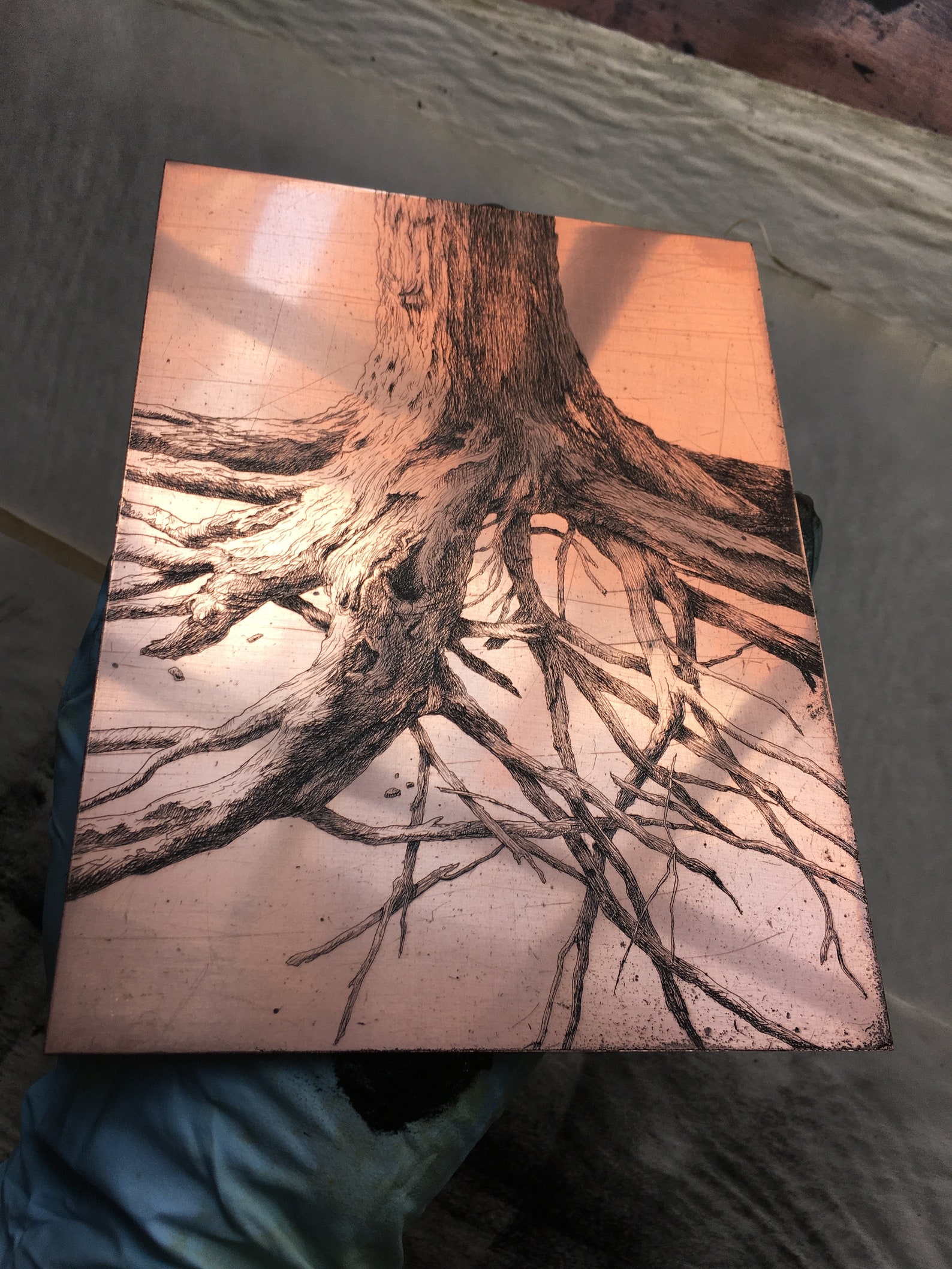 Sugar Maple 1, Original Hand-printed Etching - Etsy