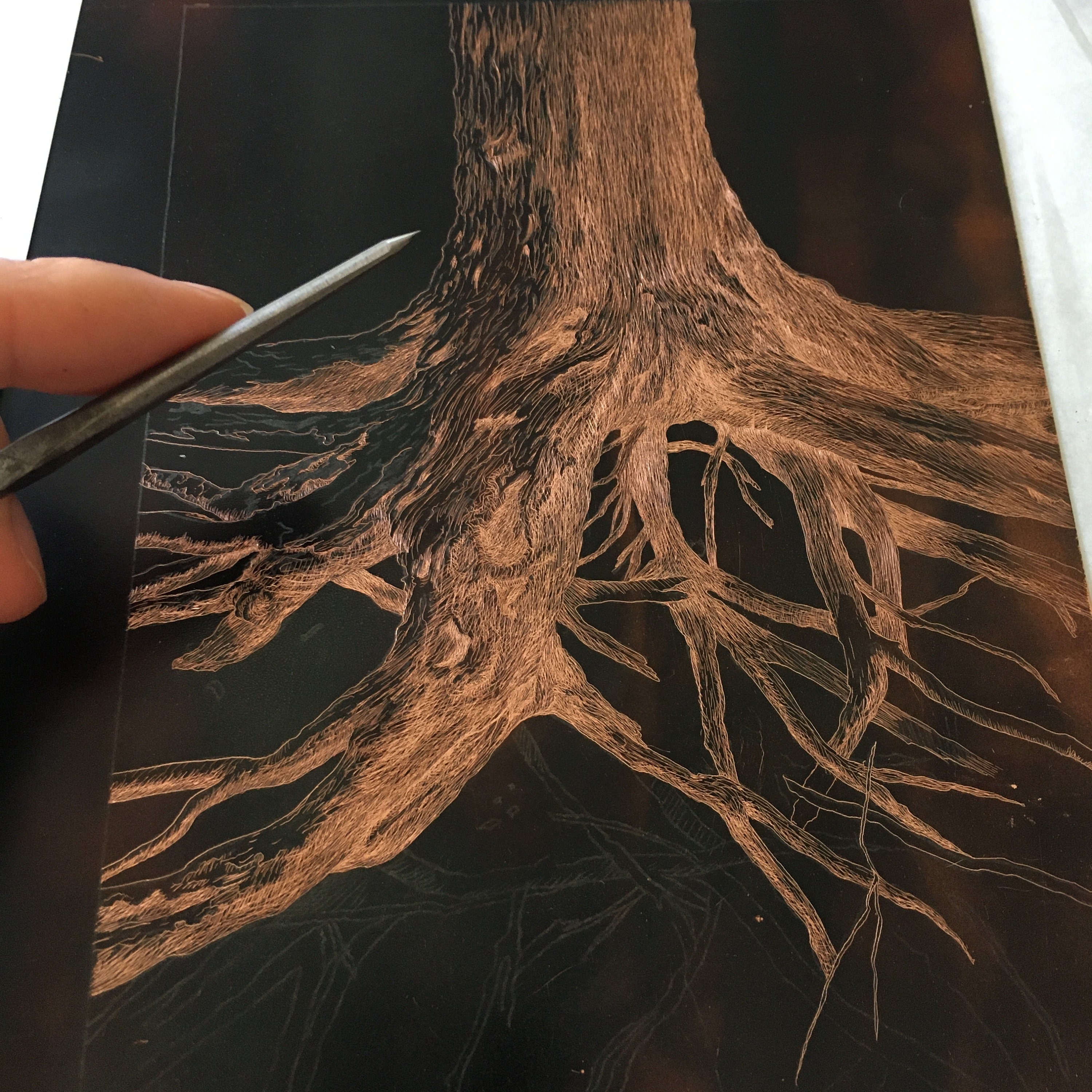 Sugar Maple 1, Original Hand-printed Etching - Etsy