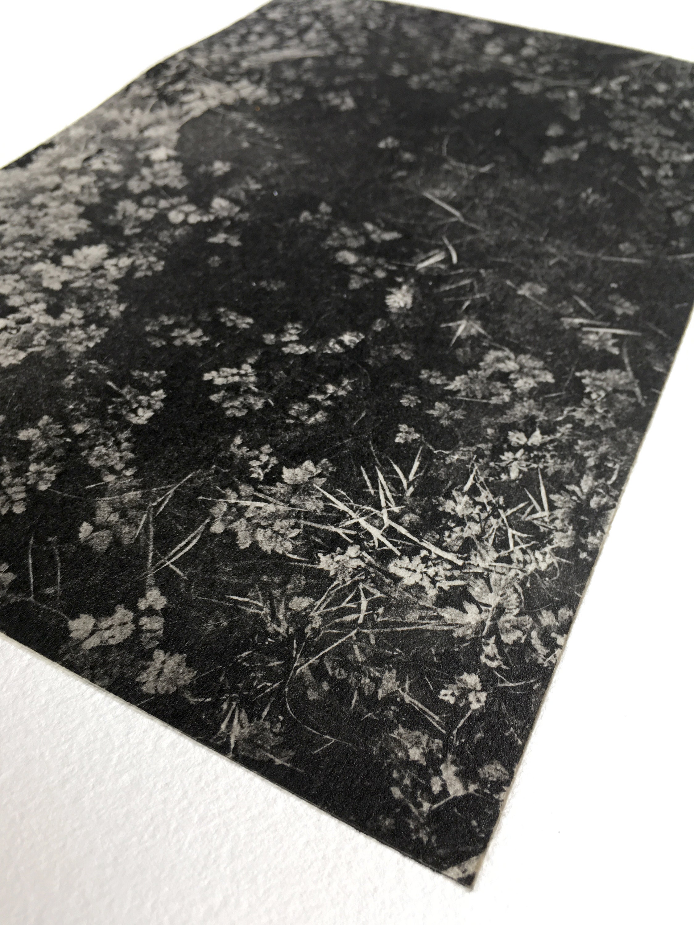 Lagoon, Original Handprinted Copperplate Photogravure - Etsy