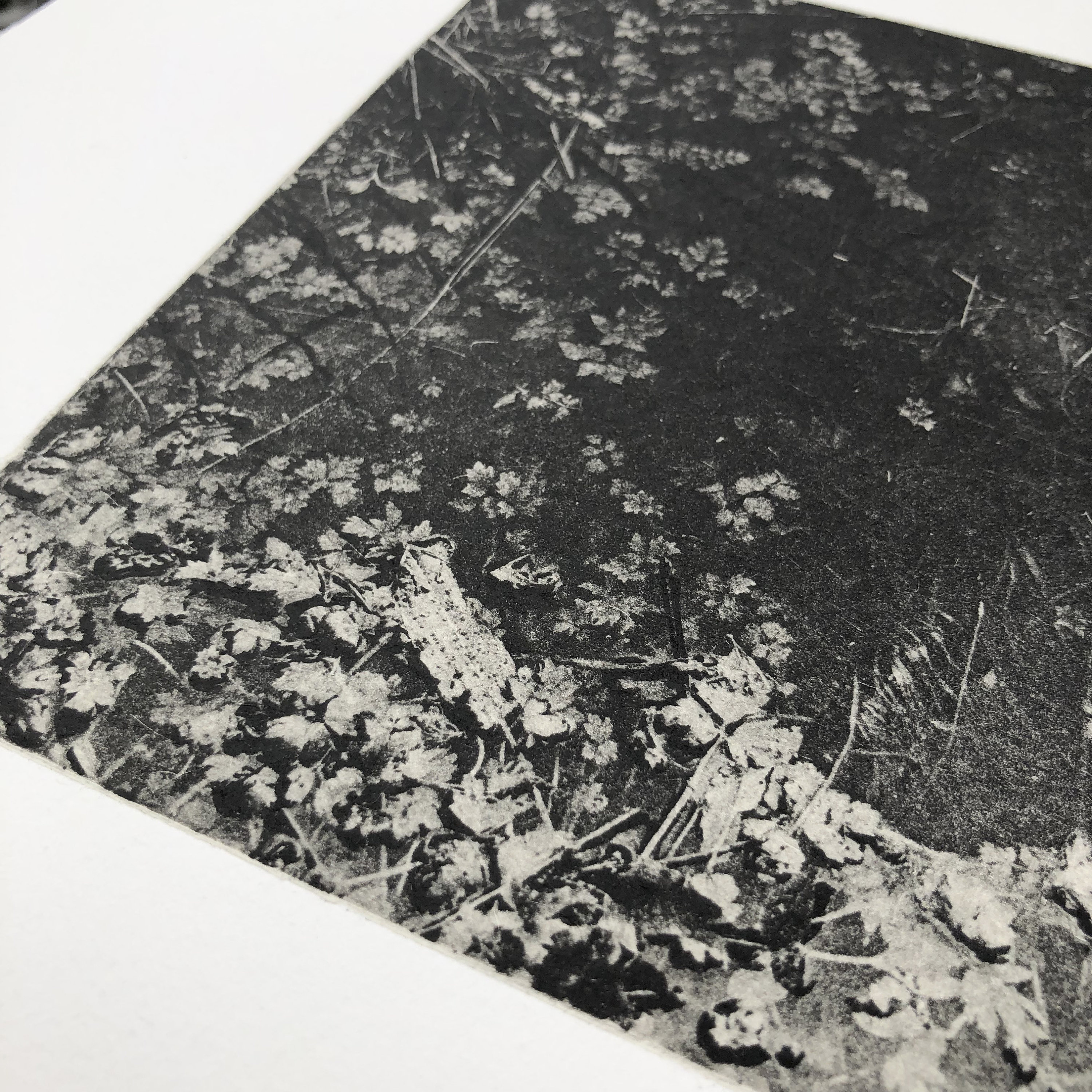 Lagoon, Original Handprinted Copperplate Photogravure - Etsy