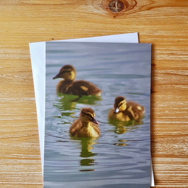 Duck Easter Card - Etsy