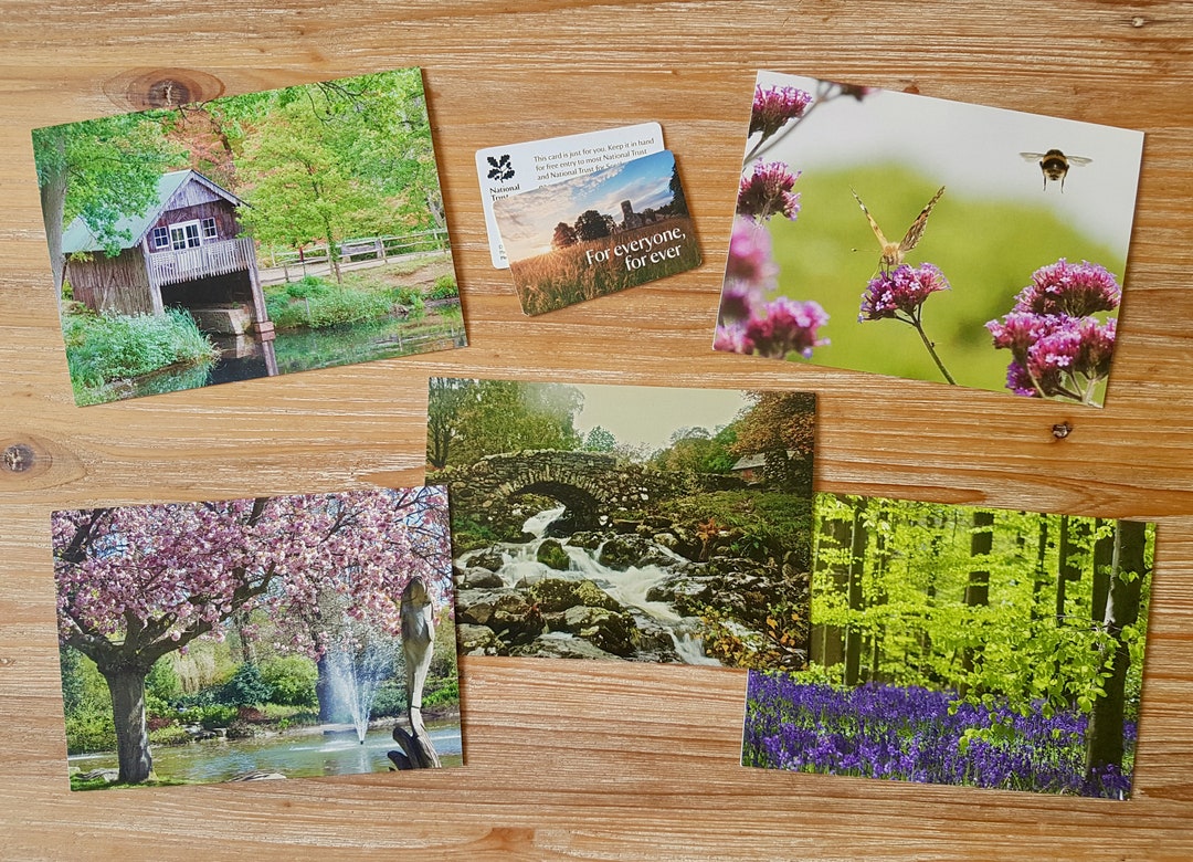 National Trust Card Collection | Photographic Greeting Card Set | Blank ...