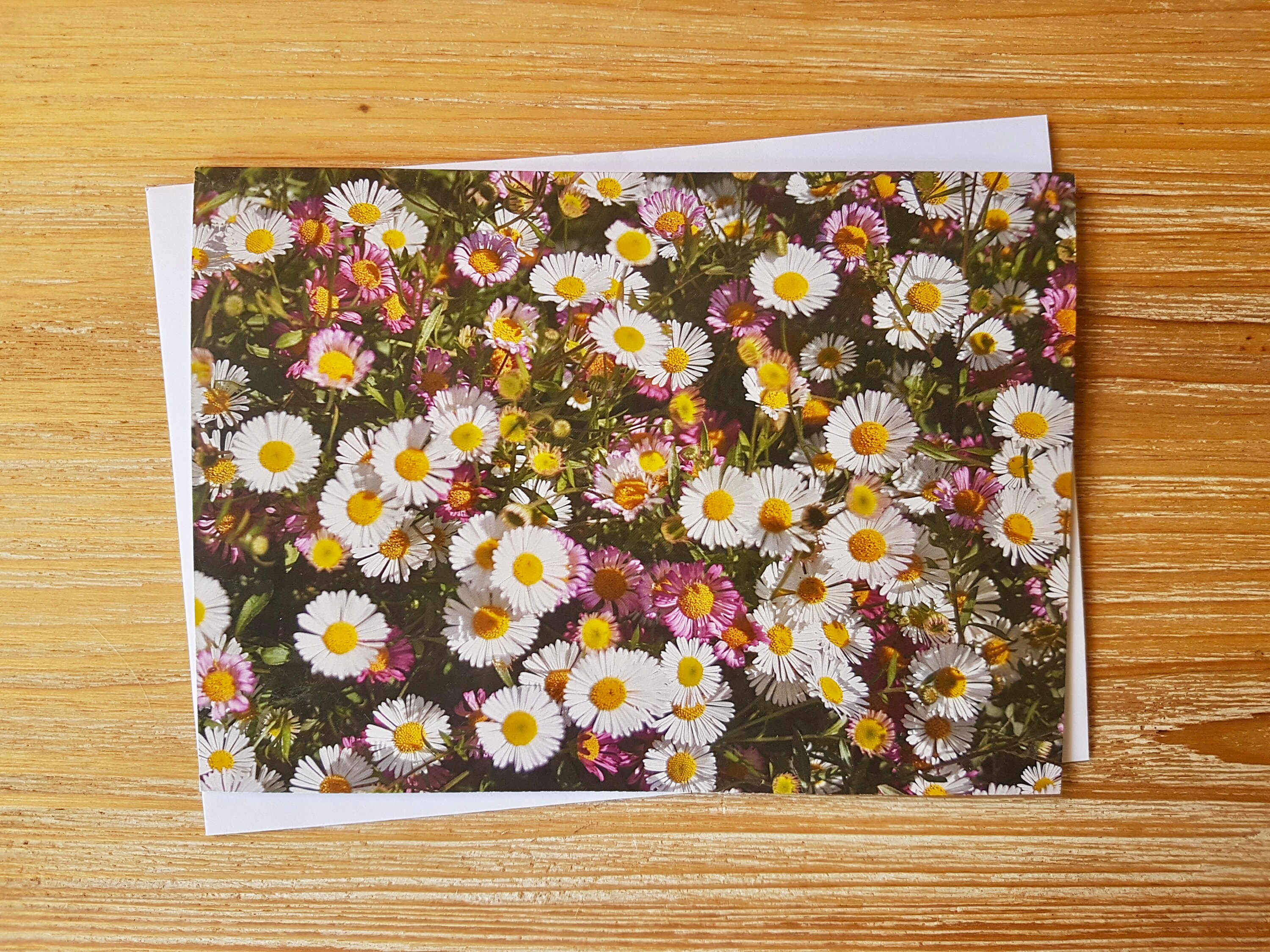 Mix & Match Card Bundle Pick Your Own Card Selection Set - Etsy