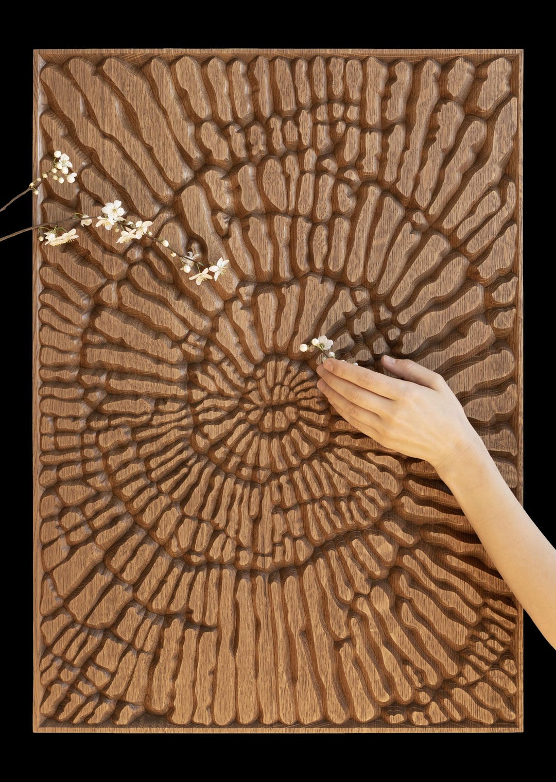 Nautilus-inspired Oak Wall Panel for Modern Home Decor - 28x20 Inch ...