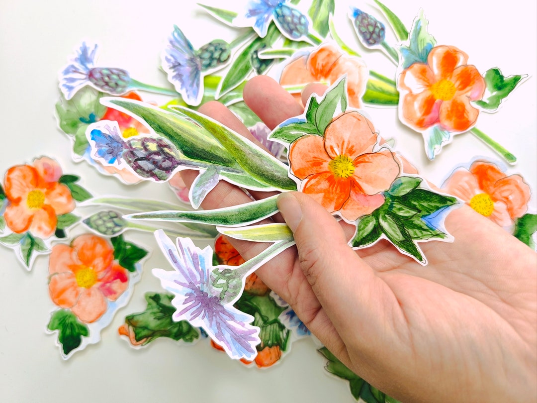 Original Watercolor Painting Cutouts Sets for Your Art Projects Card ...