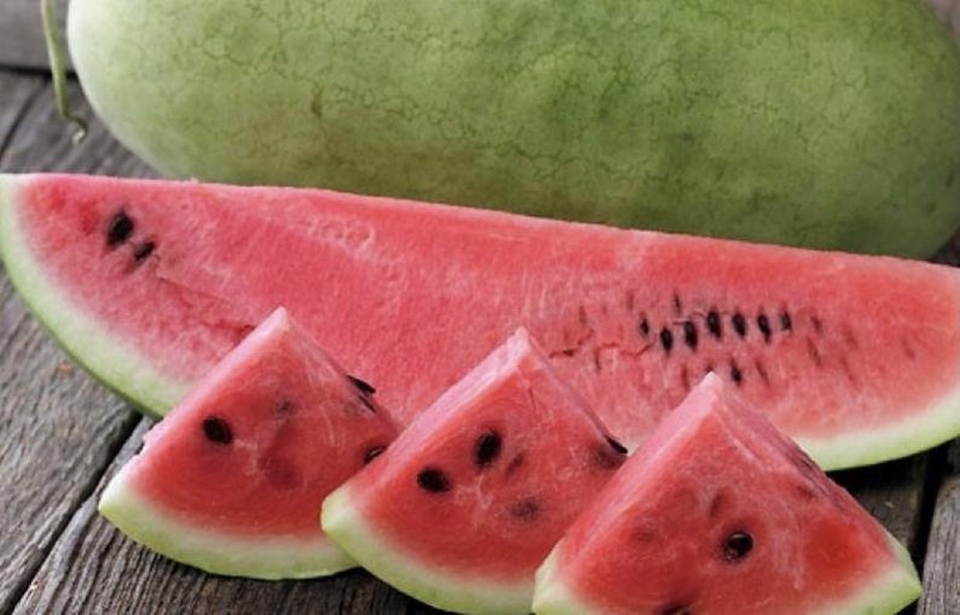 50 Charleston Grey Watermelon Seeds. Ships Free - Etsy