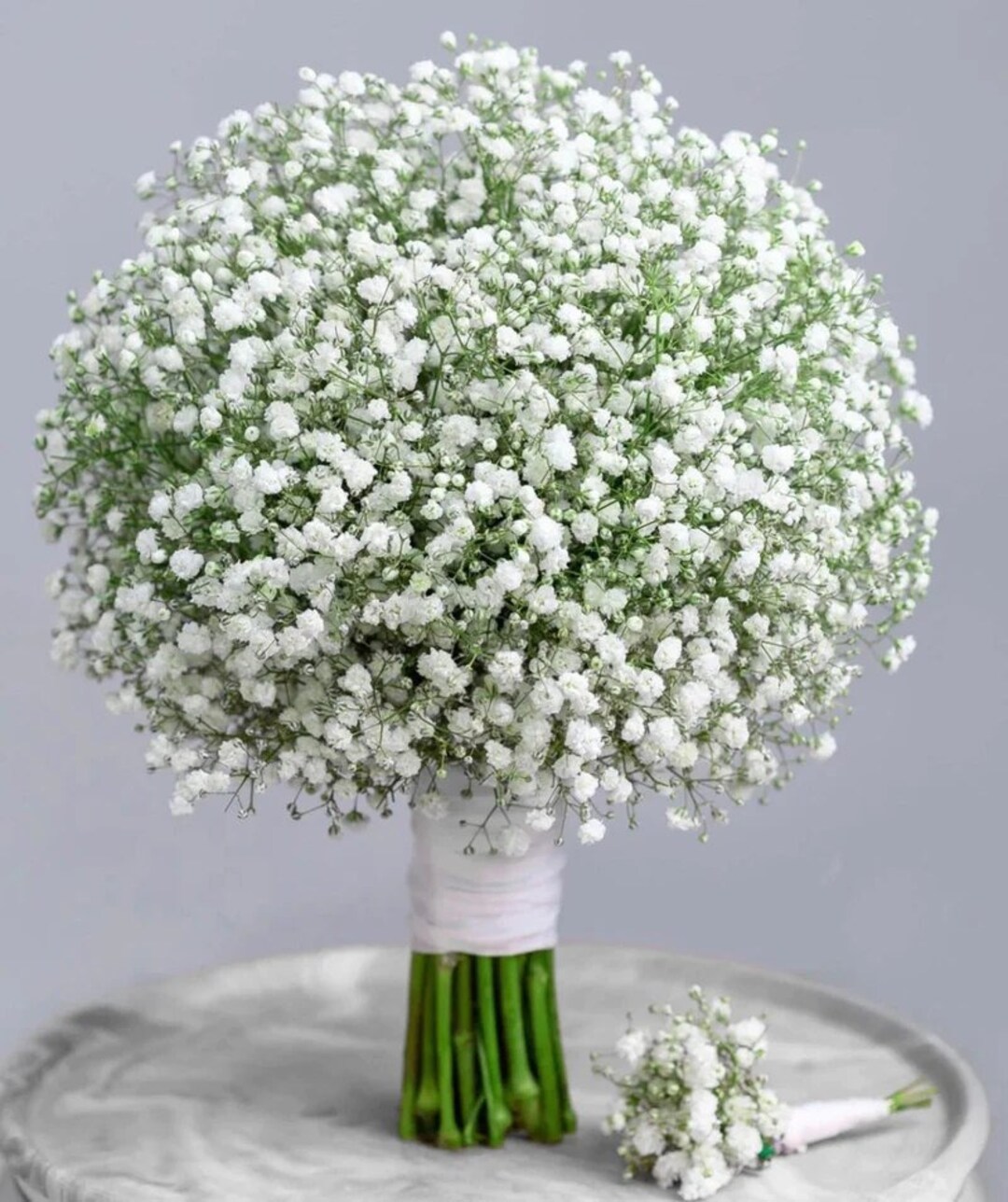 200 Baby's Breath Seeds. Ships Free - Etsy