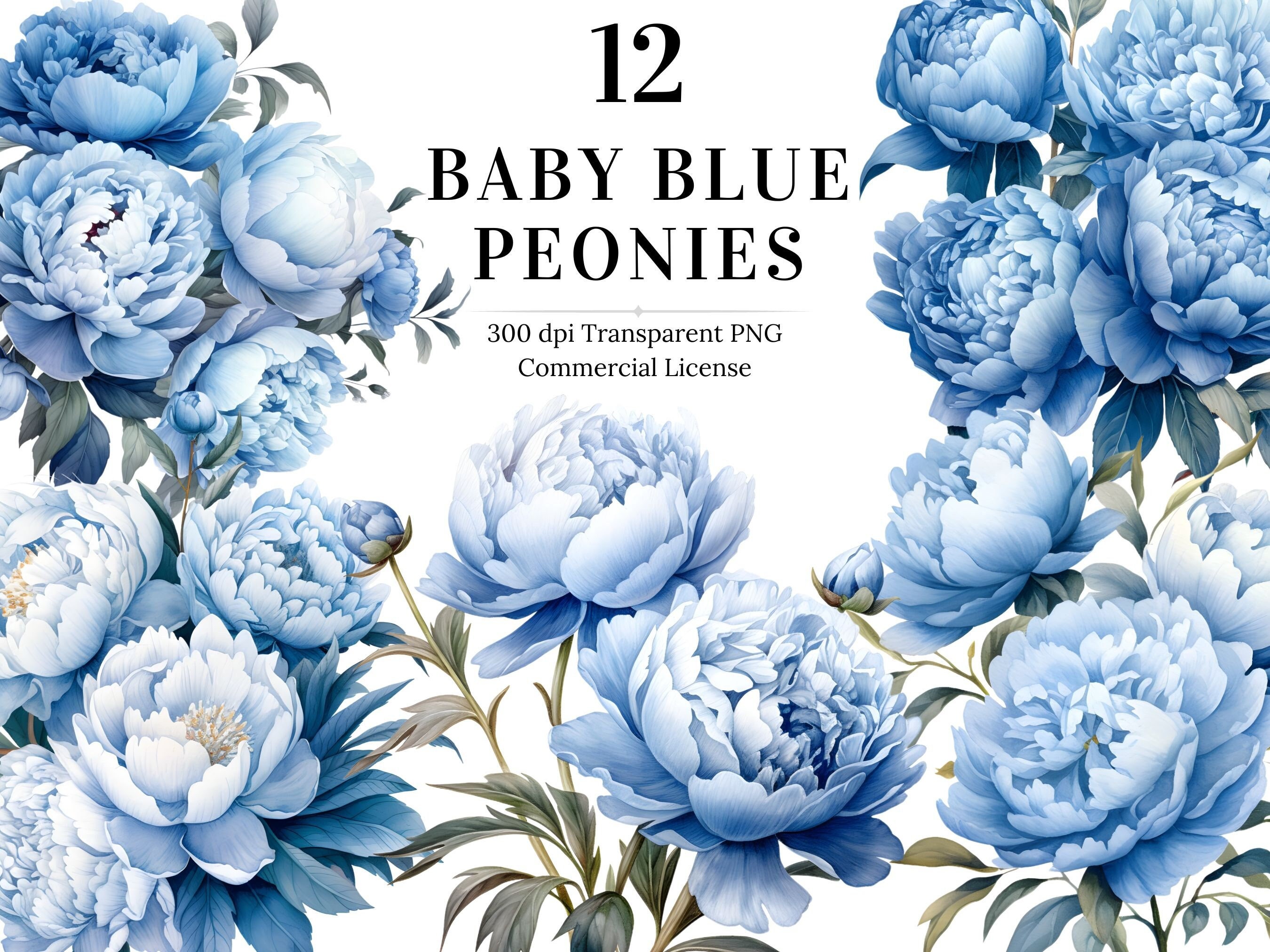 Baby Blue & White Flower Bouquets Clipart Watercolor Floral - Etsy