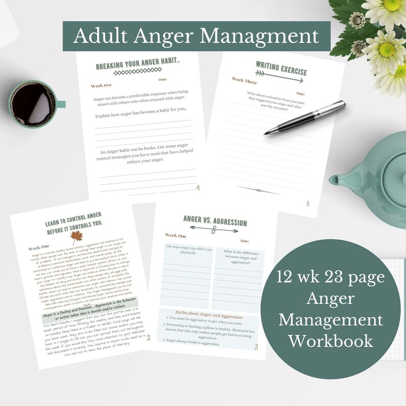 Anger Management Mental Health Printable Journal, Mood Swing Outburst ...