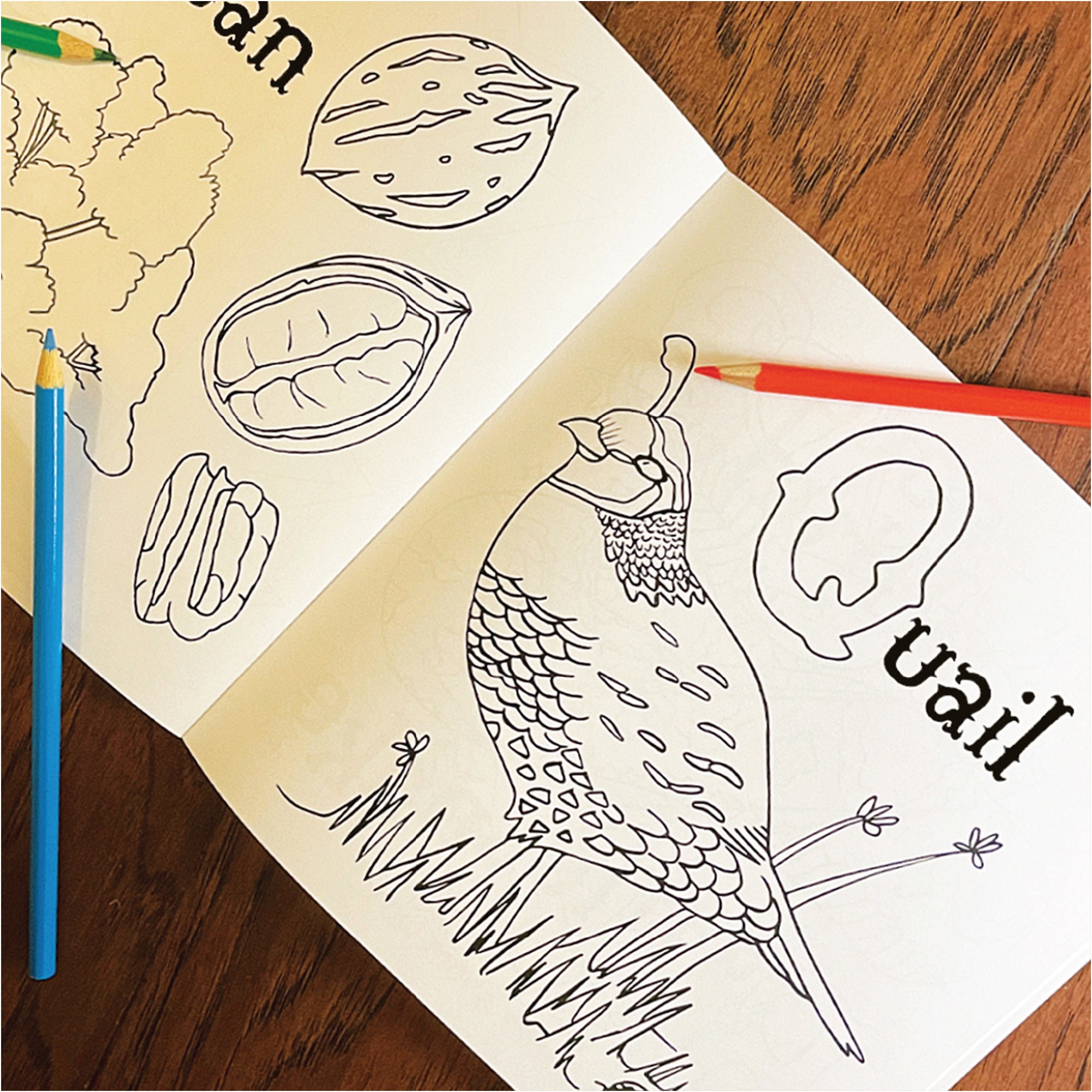 Texas Alphabet Coloring Book - Etsy