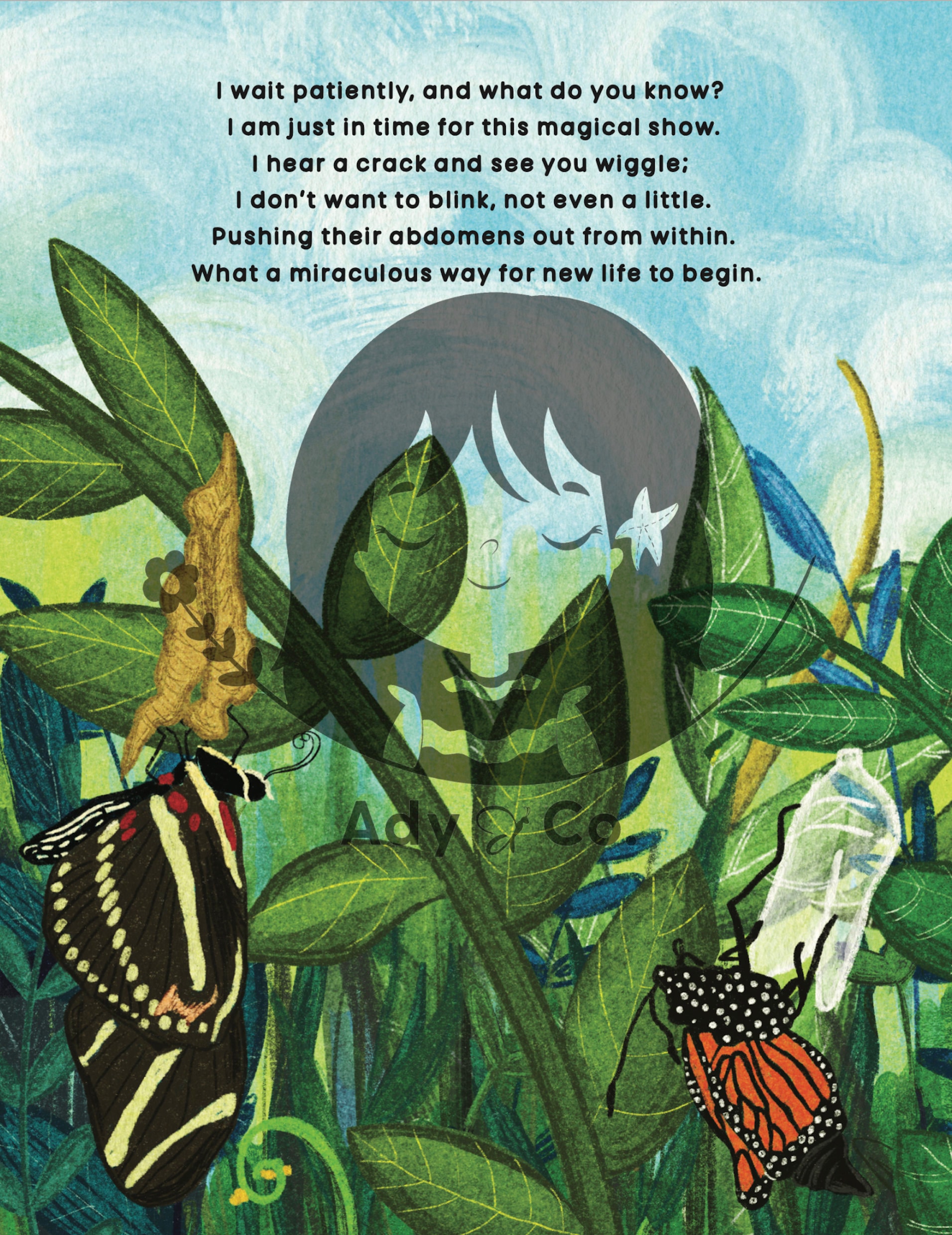 Butterfly Science Raising Butterflies - Etsy