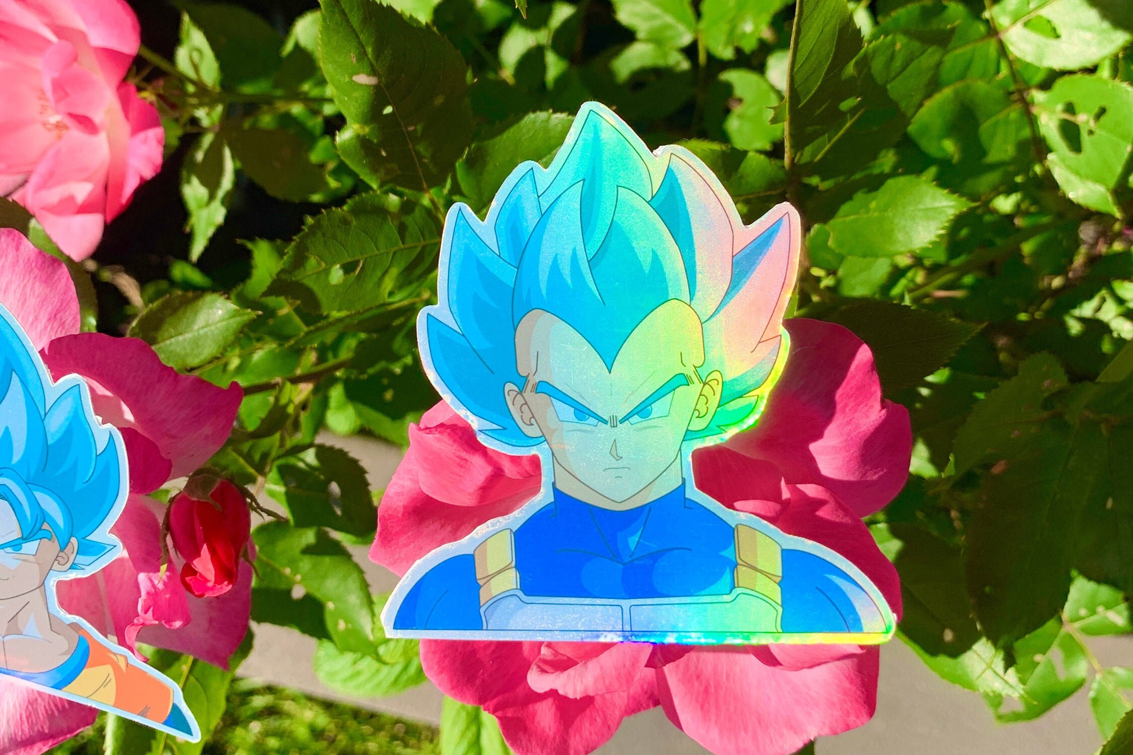 SSB Blue Monkey Fighters Prince of all Monkeys Anime | Etsy